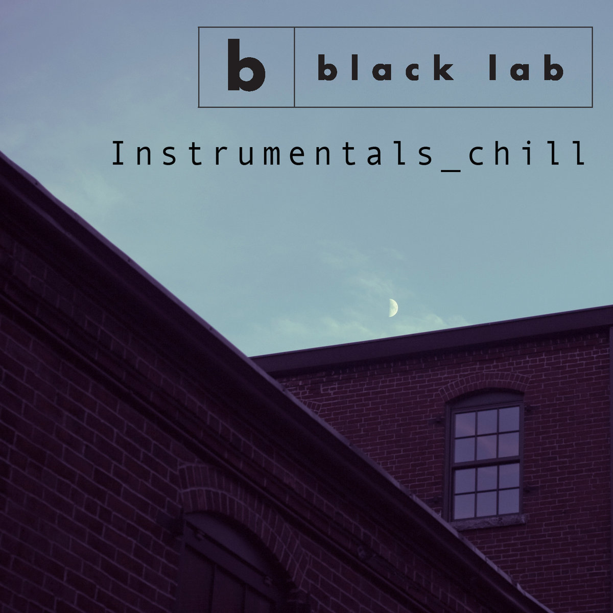 Black Lab » Instrumentals_chill» | Digital Artcore